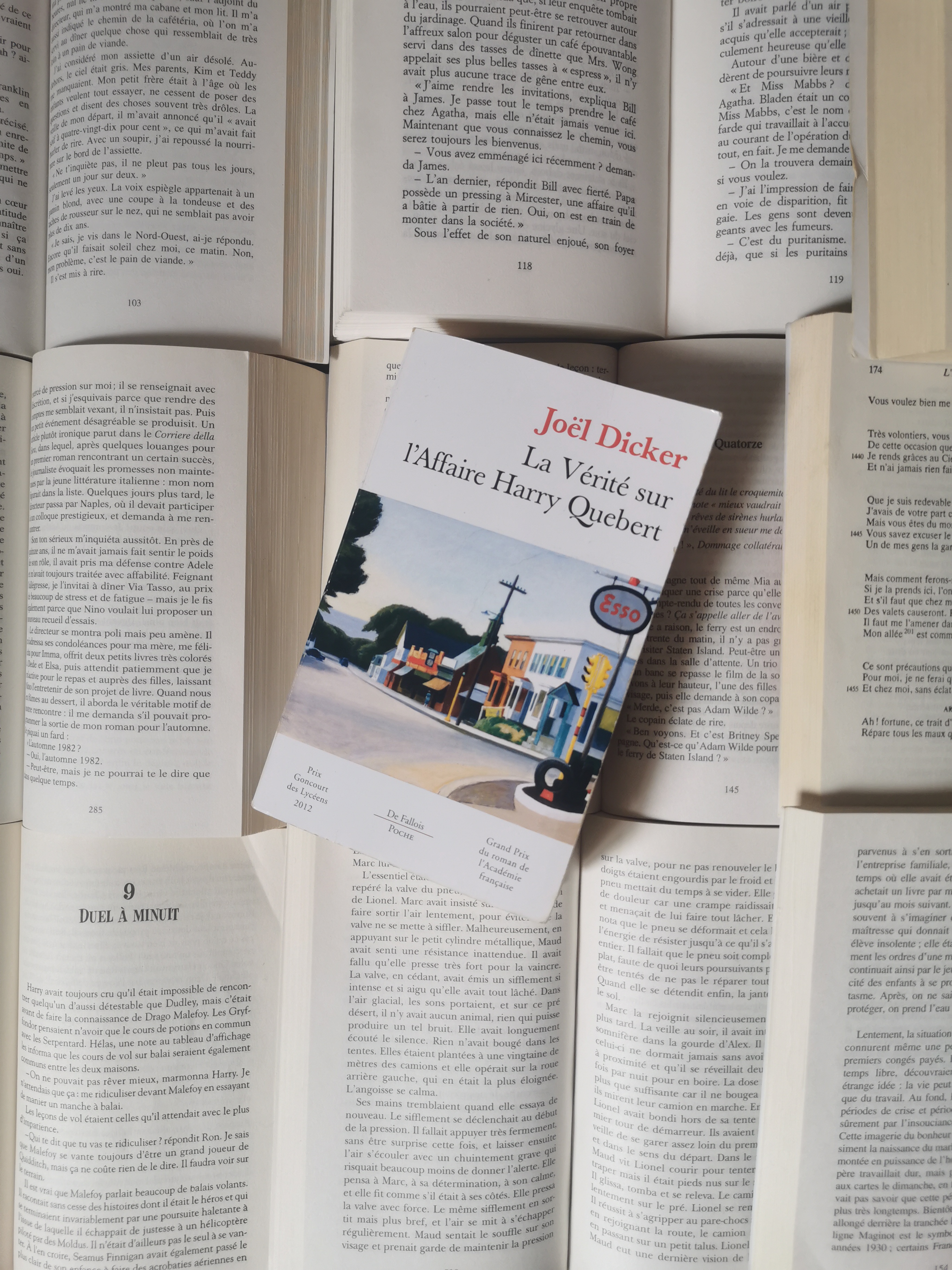 La vérité sur l'affaire Harry Quebert - Joël Dicker